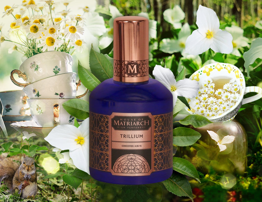 Log in Cart ( 0 ) Checkout